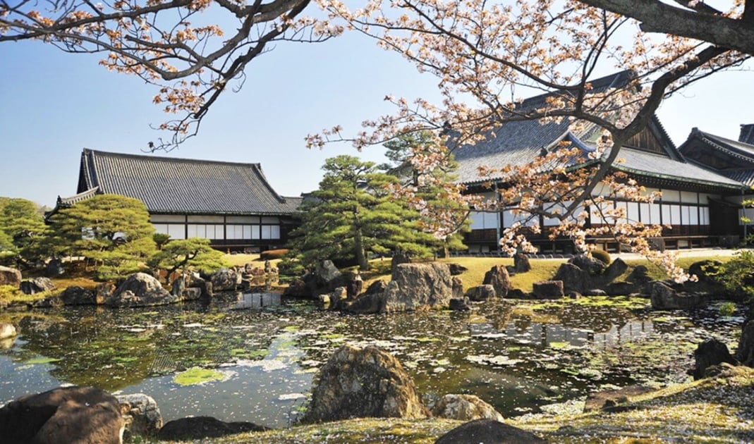 Nijo Castle: A Detailed Overview of Its History and Significance