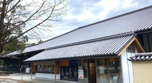 Todaiji Temple in Nara: History & Must-See Spots