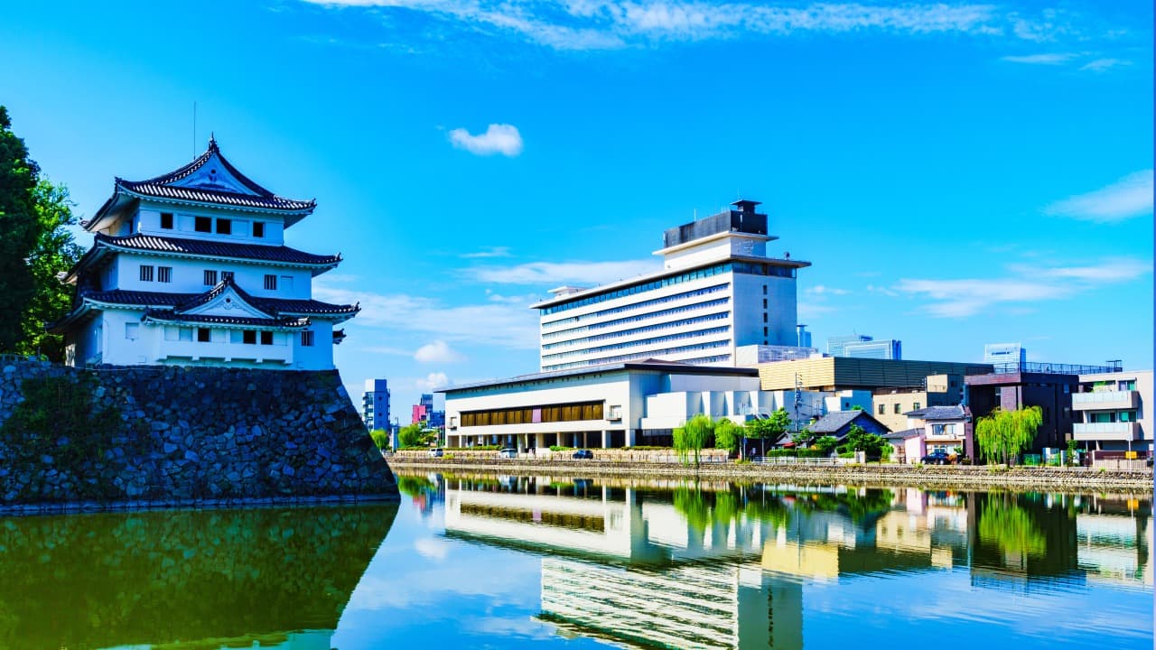 About Nagoya Castle: A Detailed Explanation of Its History and Overview
