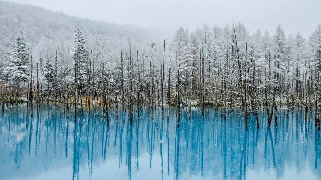 Shirogane Blue Pond: Detailed Explanation of History and Overview