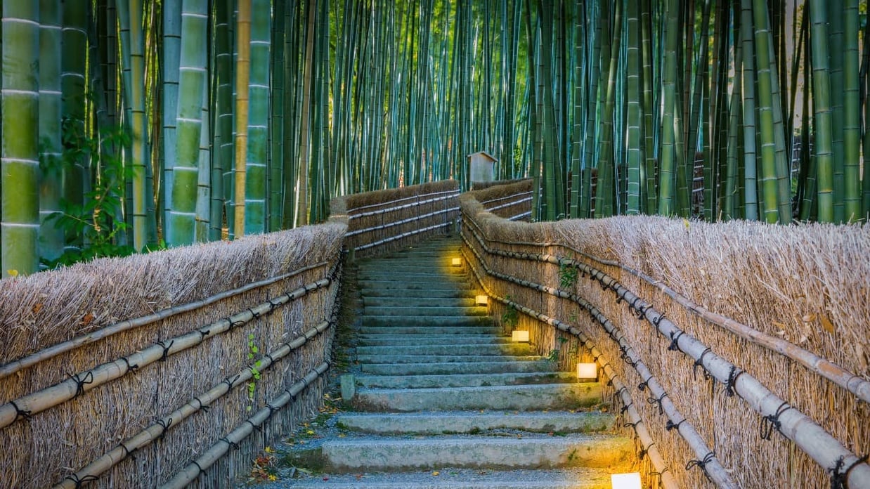 Arashiyama Bamboo Grove: History and Highlights Explained