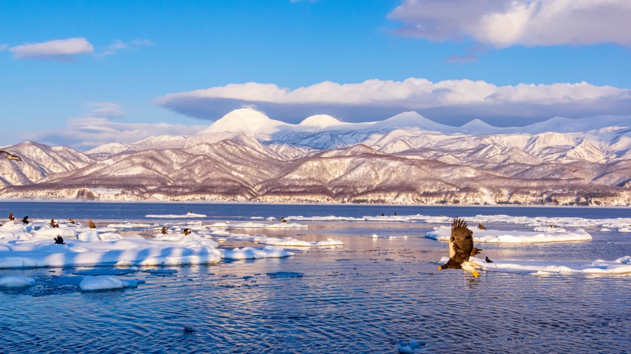 Detailed Explanation of Shiretoko National Park: History and Overview