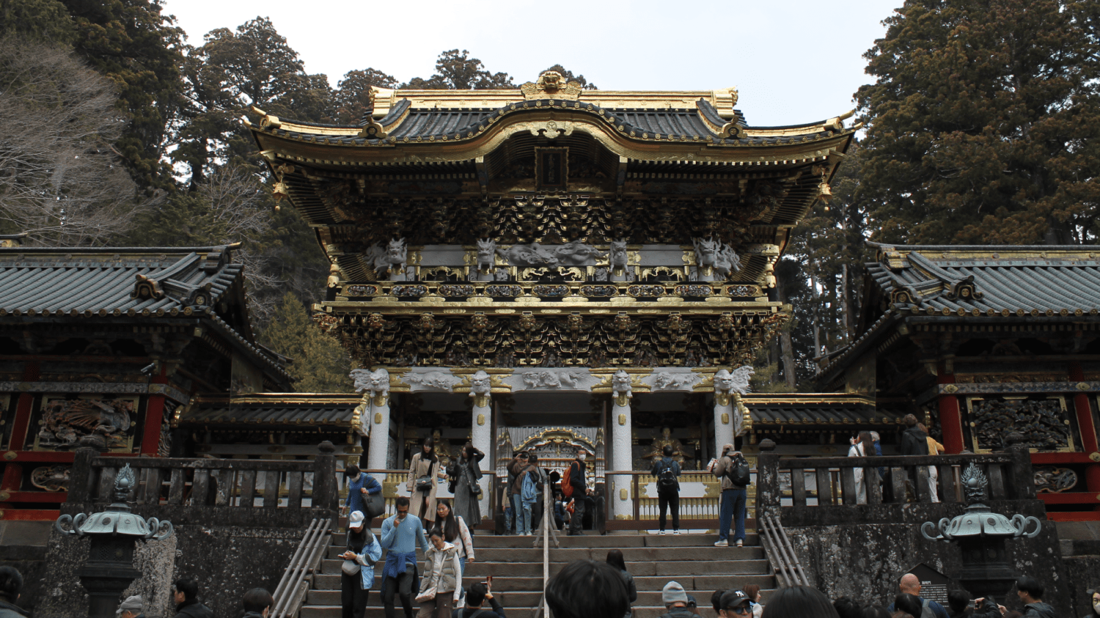 Nikko Toshogu Shrine: History & Must-See Highlights